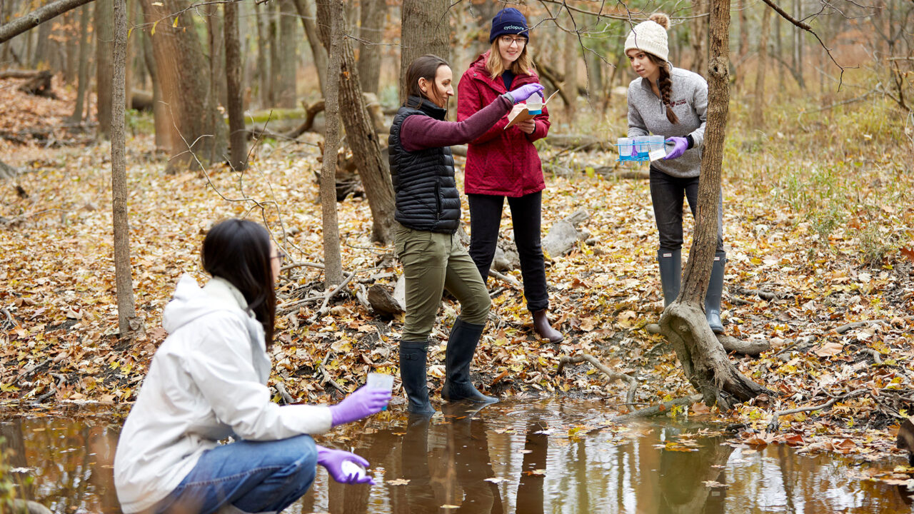 PFAS Test Kit | PFAS Water Testing | Cyclopure
