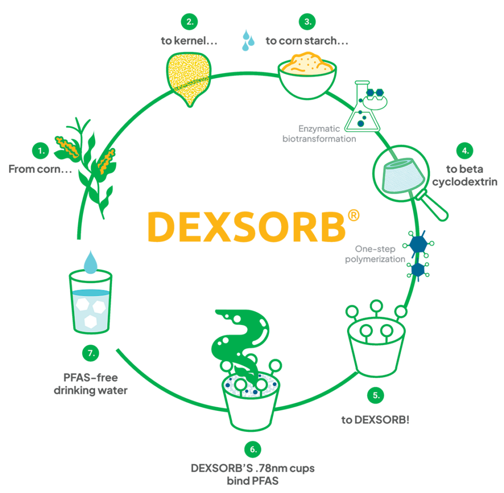 DEXSORB | DEXSORB Applications | Cyclopure